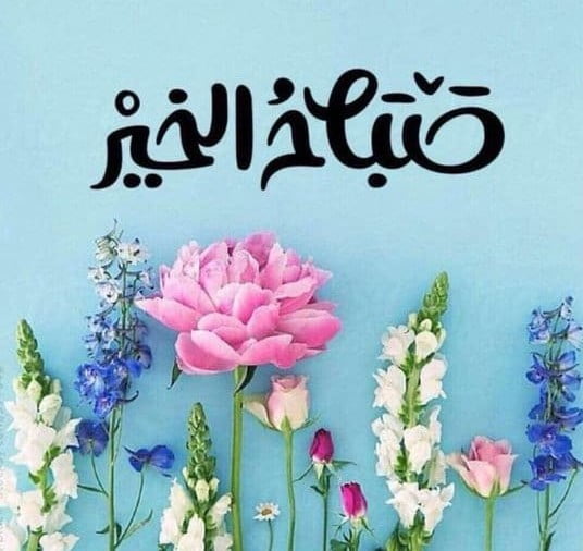 صباح الخير 2025 اجمل 200 رسالة صباح الخير صور وعبارات صباحية - موقع افكارك